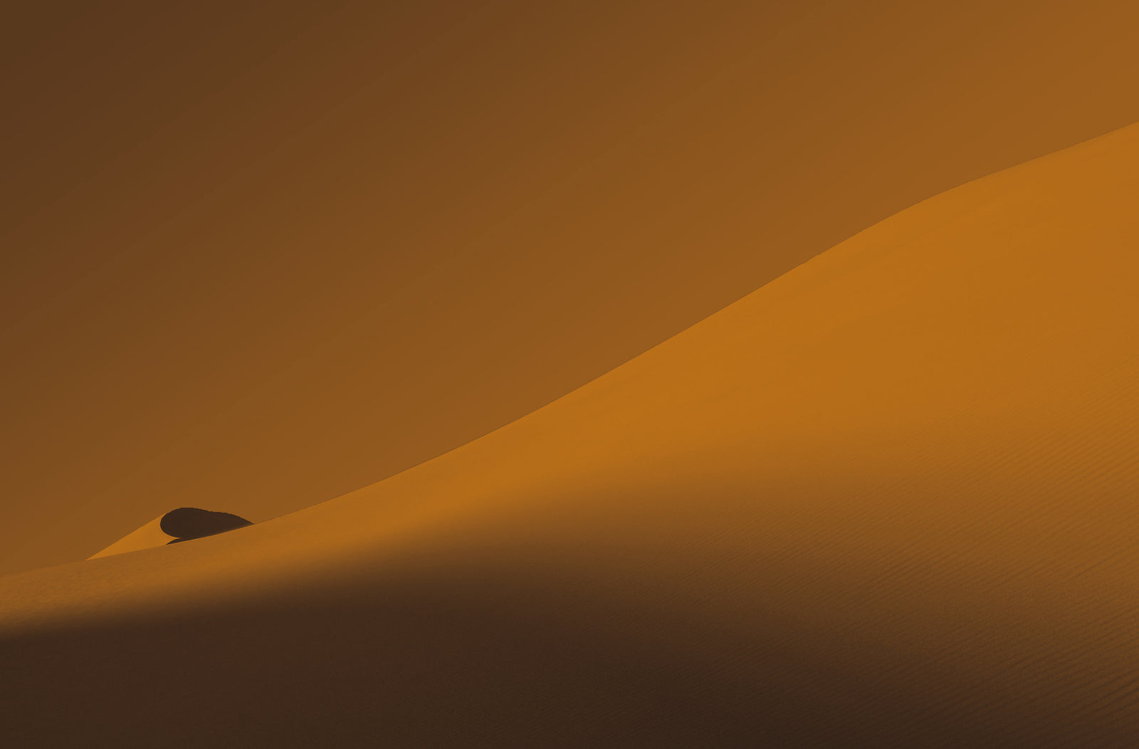 Shows – Glass Beams